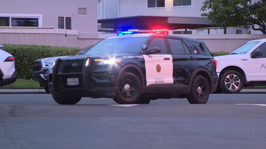 Man allegedly killed brother in overnight stabbing, San Diego police say