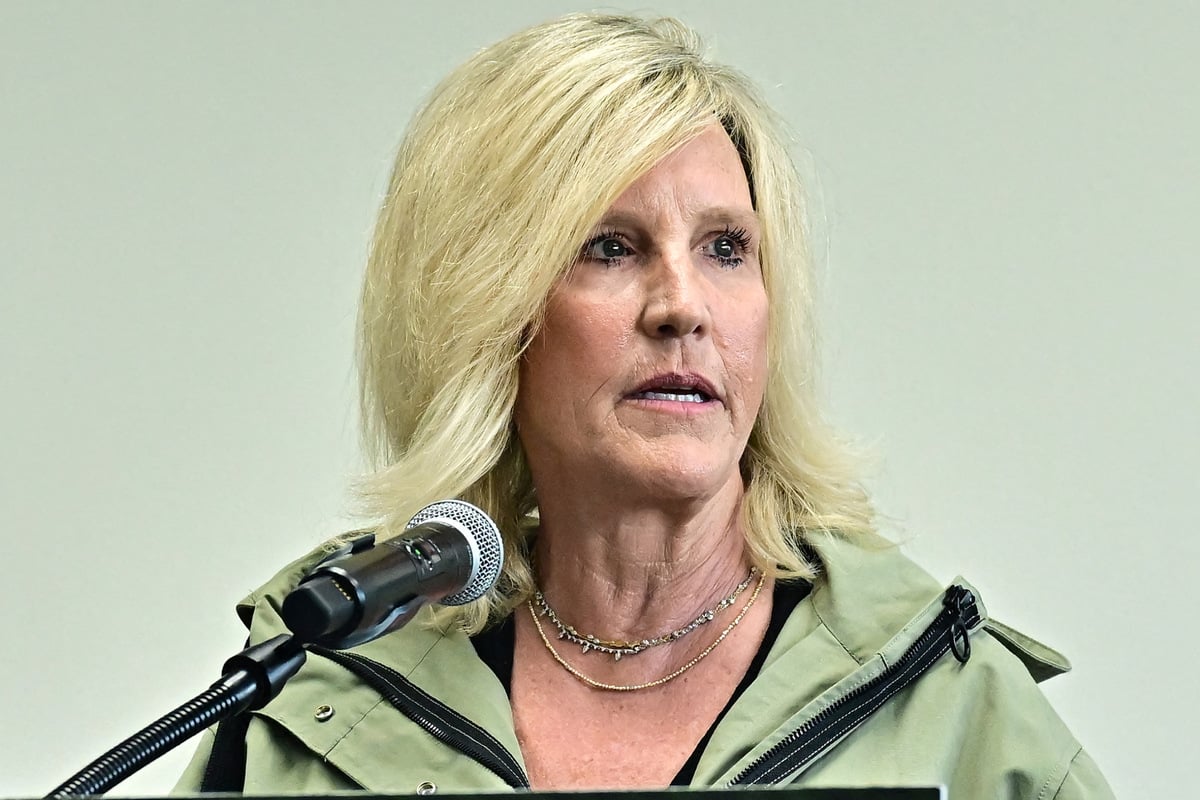 Environmental activist Erin Brockovich takes on Big Tech's data center boom