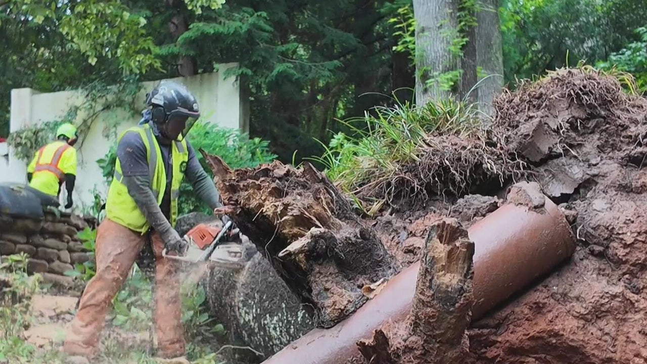 Tree removal crews scramble as heavy rains uproot yards across North ...