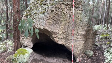 Wiradjuri community devastated by destruction of rock shelter by ACEREZ