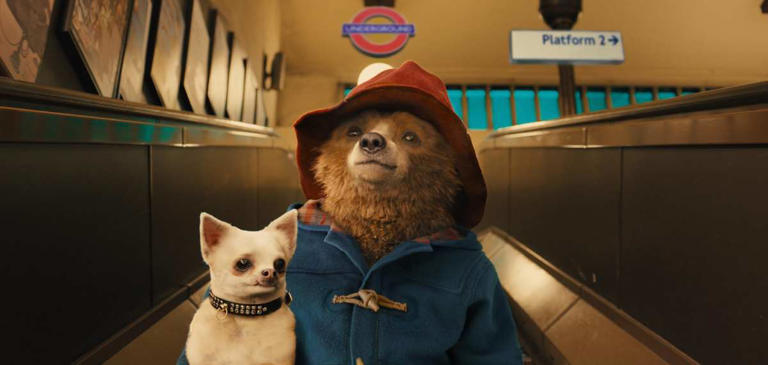 'Paddington 4' adds 'In the Loops' writer and teases a major return but ...