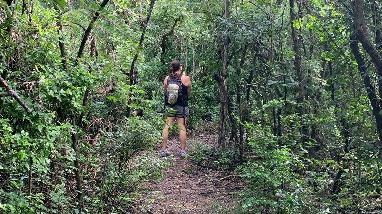 7 scenic, low-key Caribbean destinations for avid hikers