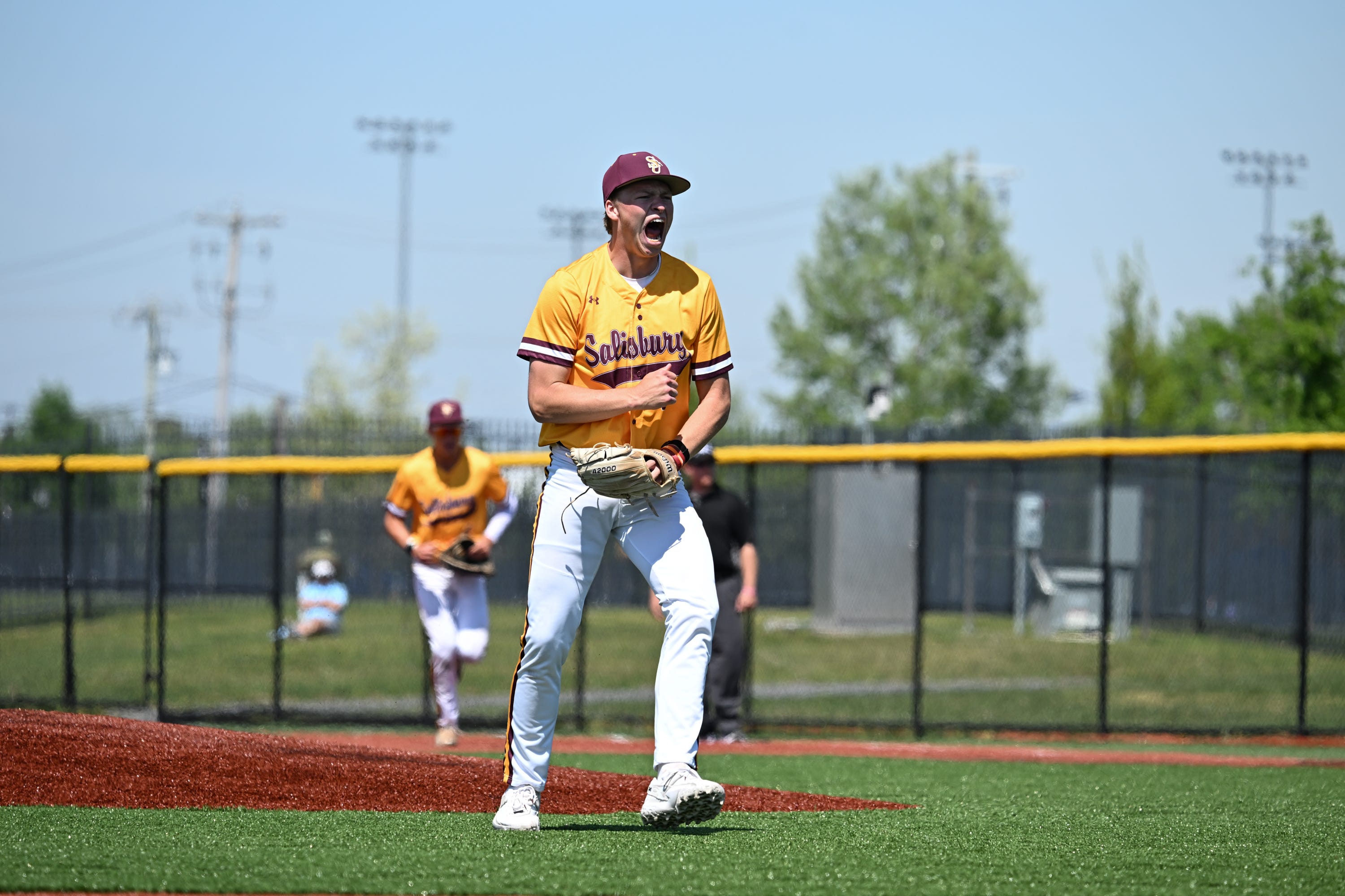 Salisbury baseball advances to NCAA Division III College World Series
