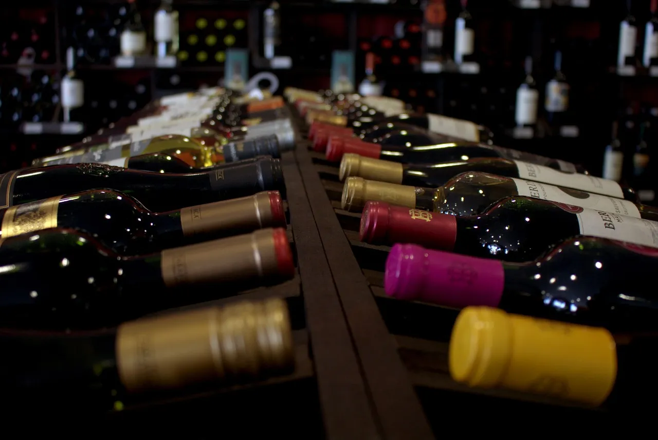 7 family-run vineyard regions making wine tourism more sustainable