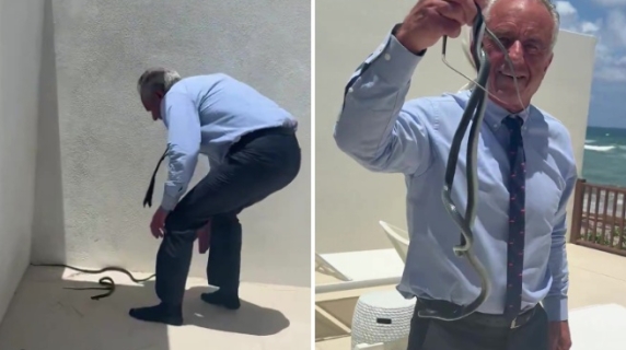 Robert F Kennedy Jr cattura due serpenti a mani nude e viene morso: il ...