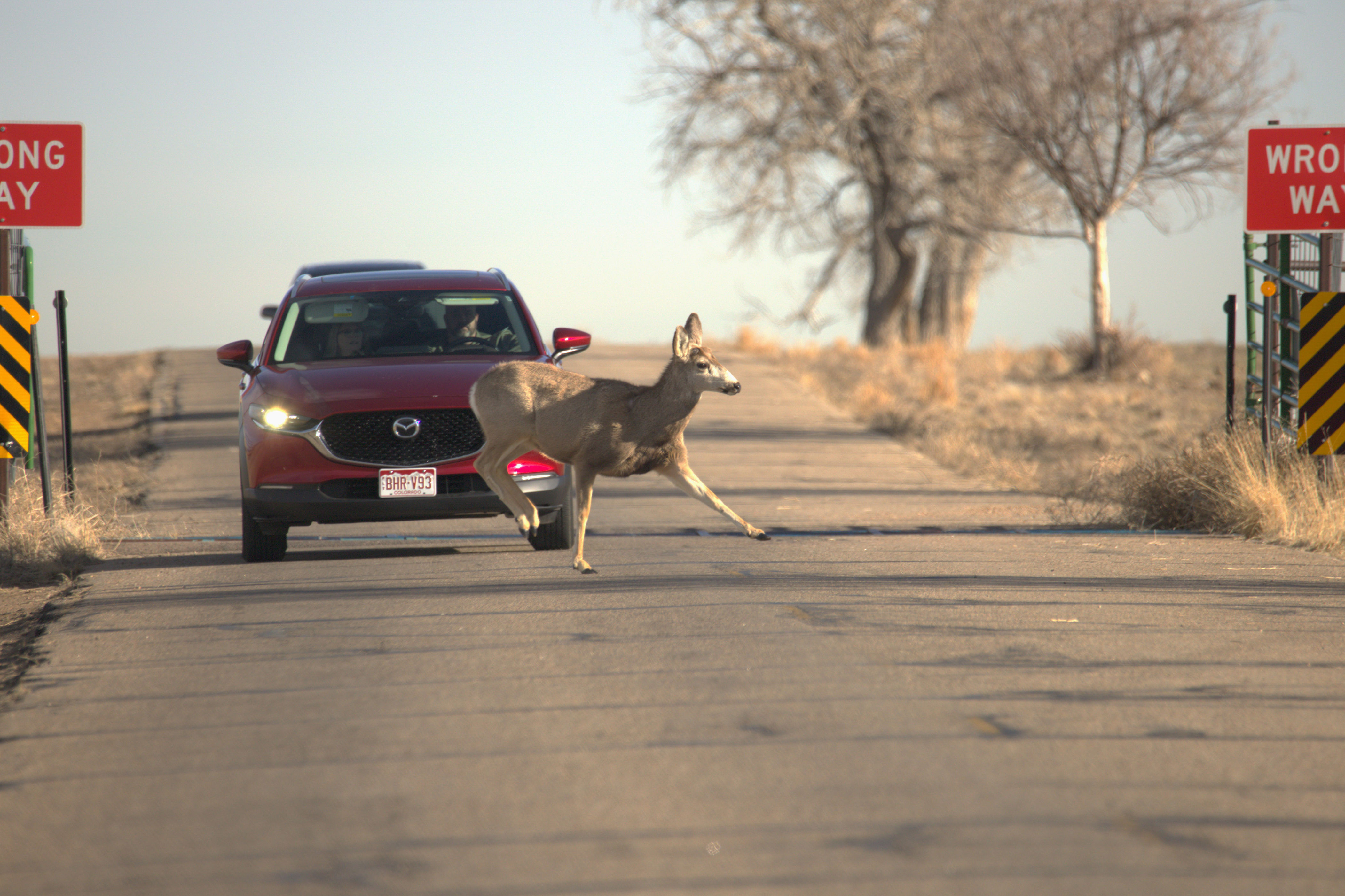 The mere presence of humans—not just our changes to the land—can alter ...