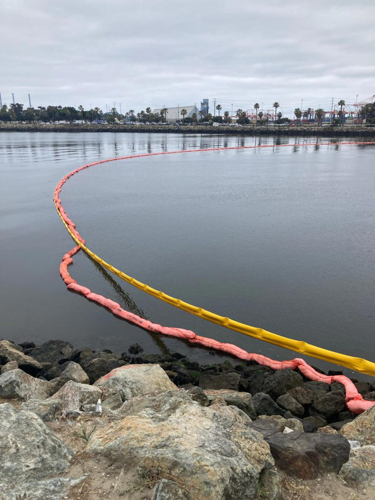 Oiled birds recovered from river after spill in East Los Angeles