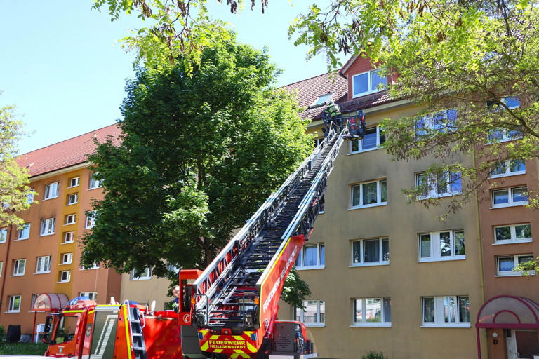 Vogel verfängt sich im Draht an Mehrfamilienhaus: Feuerwehr rettet das Tier