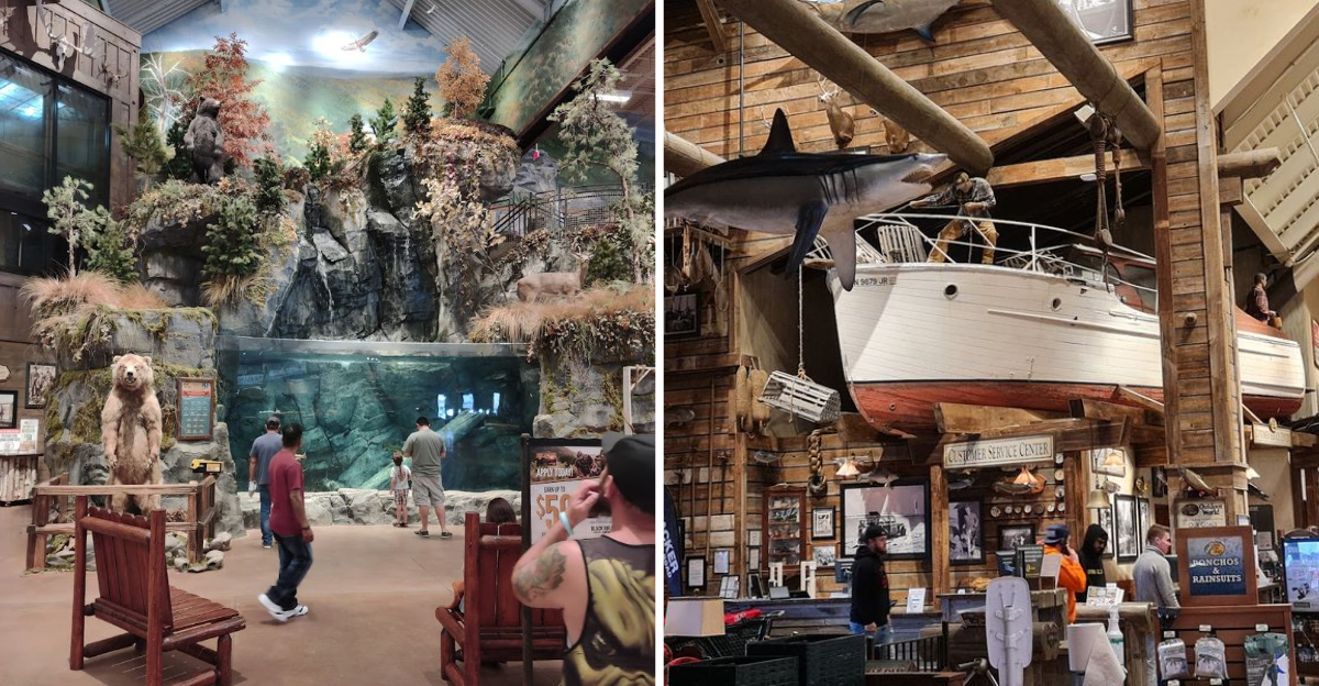 This New Jersey outdoor store has a 13,000-gallon freshwater fish tank ...