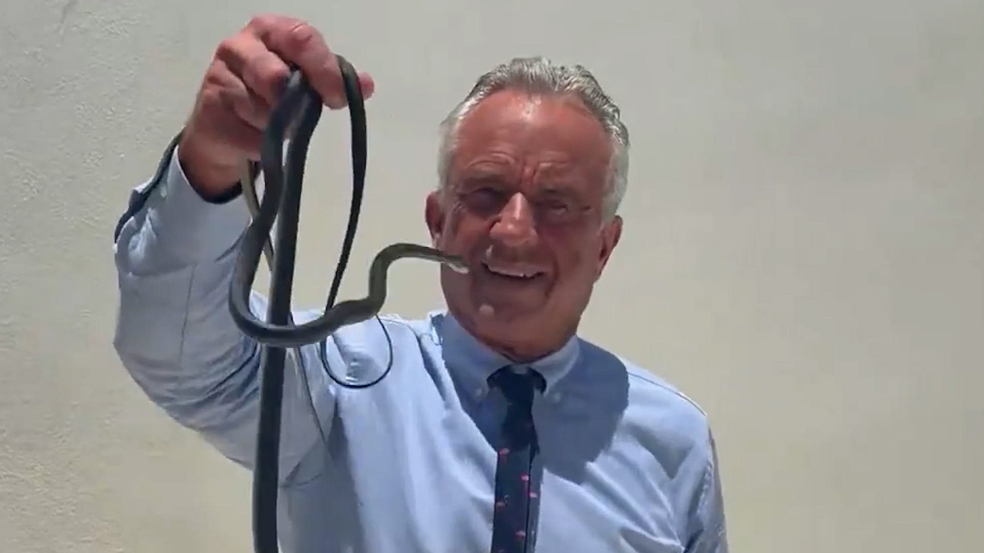 RFK Jr. posts 2nd snake wrangling video, but this time it's venomous