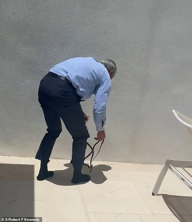 RFK Jr catches two snakes with his bare hands while his wife Cheryl squeals