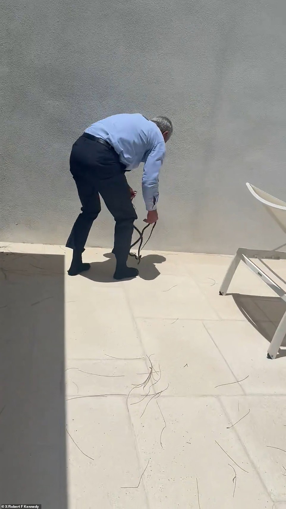 RFK Jr catches two snakes with his bare hands