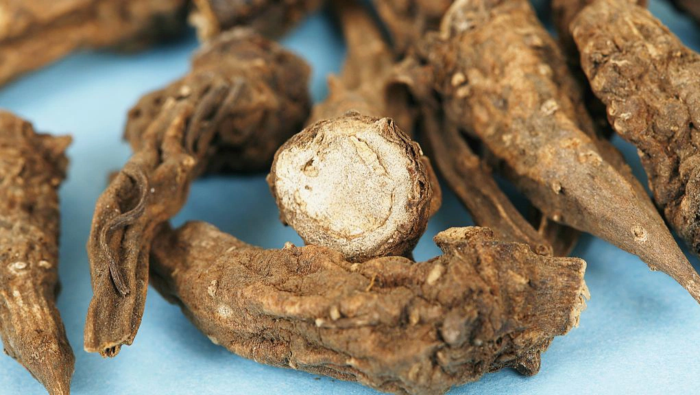 600-year-old Ming tools show first chemical proof of anesthetic use