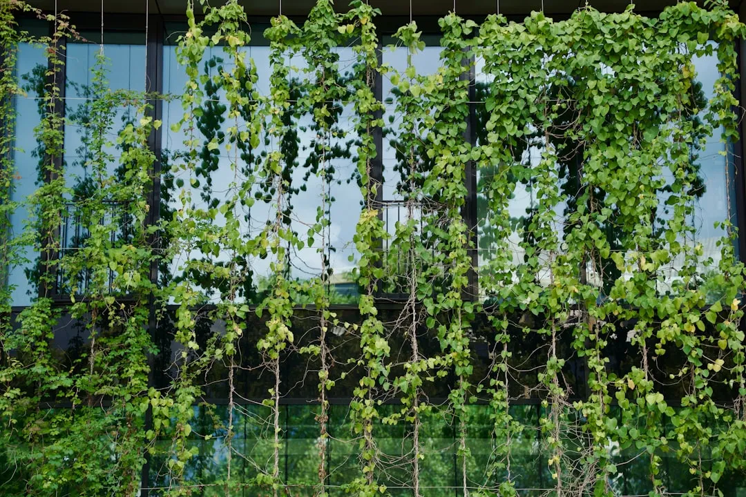 How vertical trellising can double your backyard vegetable harvest