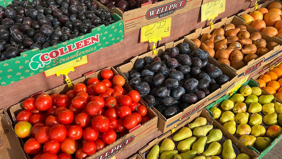 One in four Canadians face food insecurity amid lasting price shocks