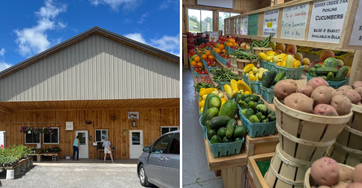 This massive West Virginia 'Amish Walmart' is packed with bulk deals ...