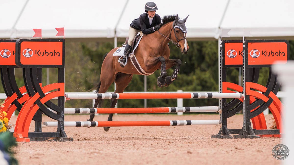 OTTB Cheeky Pint has small frame but big presence