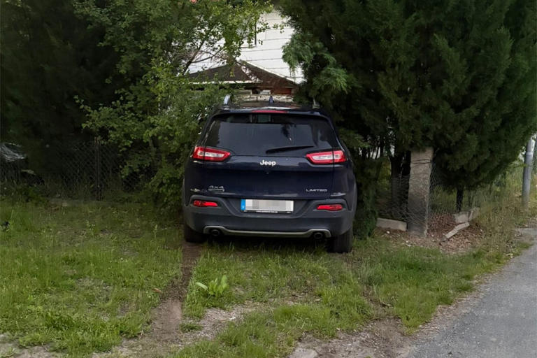 Suff-Unfall im Harz: Jeep kracht durch Gartenzaun und landet in Hecke