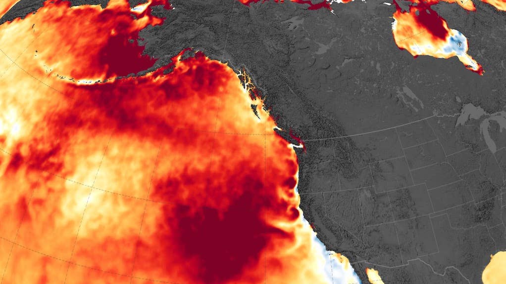 ‘Freight train’ of record-warm Pacific water could supercharge mega El Niño