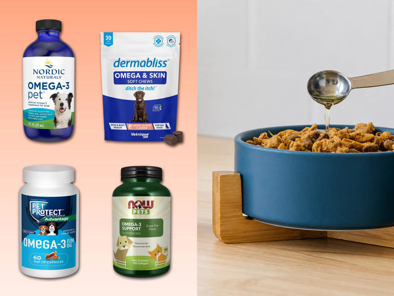 The best fish oil for dogs