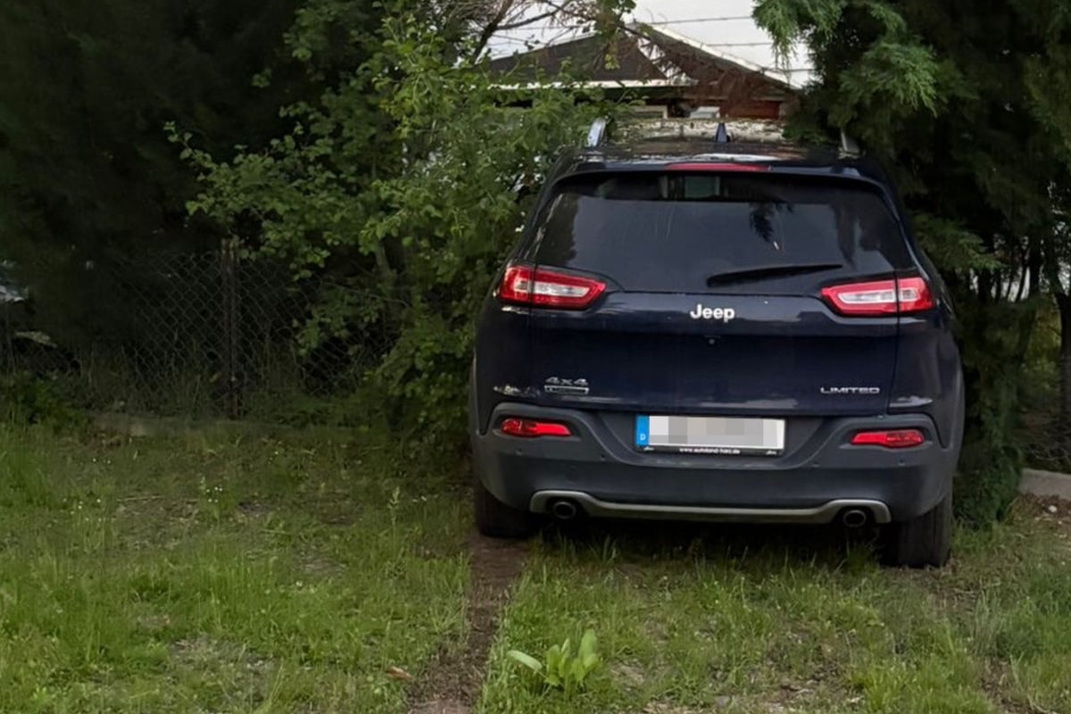 Suff-Unfall im Harz: Jeep kracht durch Gartenzaun und landet in Hecke