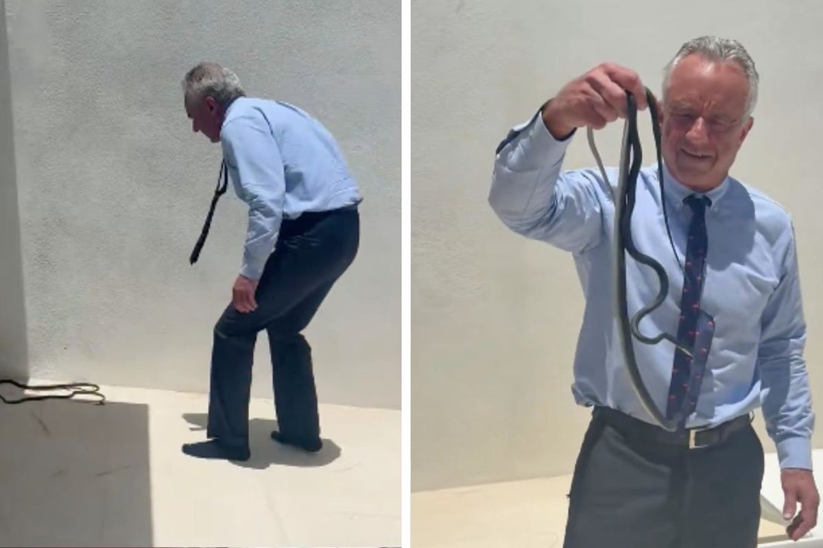 RFK Jr bitten by snakes after grabbing writhing reptiles