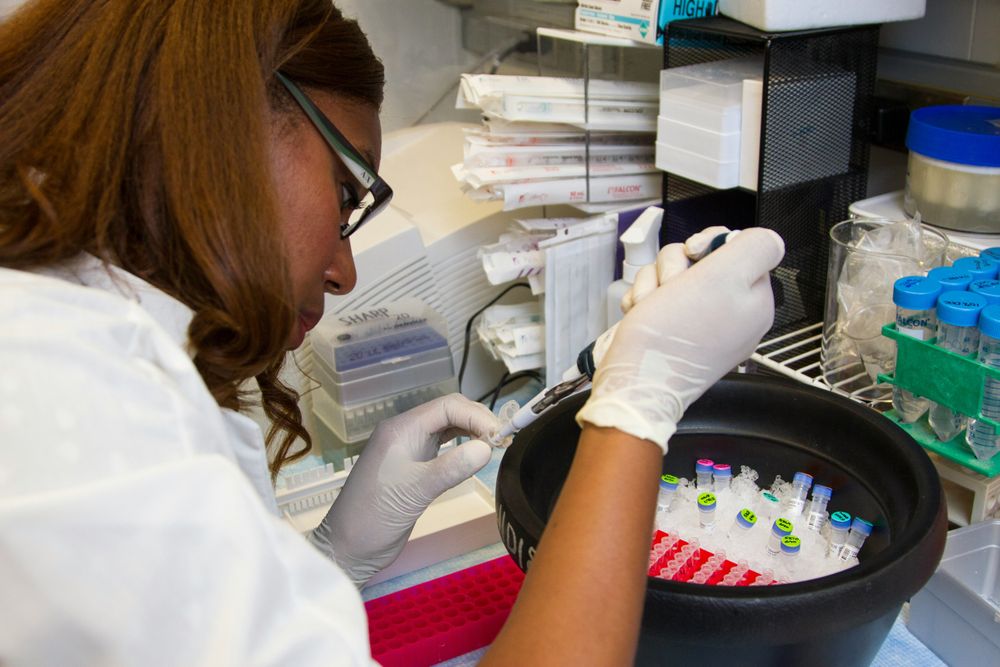 Alaunos reports positive preclinical obesity drug results across weight ...