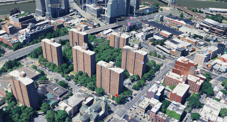 NYC sicko accused of throwing family cat 'Shadow' out 15th-story window ...