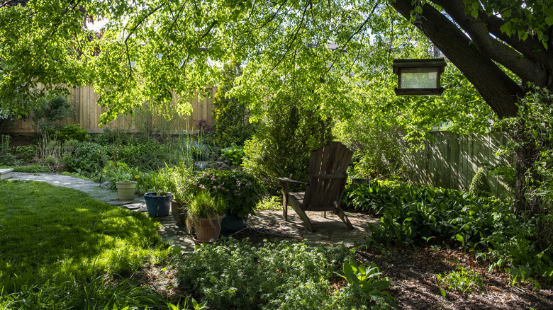 Skip the hostas: There's another shade plant to add color to flower beds