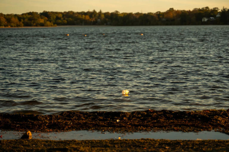 Eagles win: fireworks show at Lake Ronkonkoma cancelled