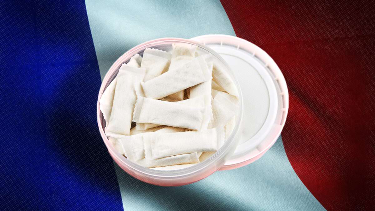 France is banning Zyn and threatening to jail people for 5 years