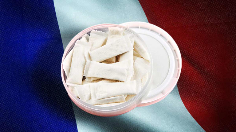 France is banning Zyn and threatening to jail people for 5 years