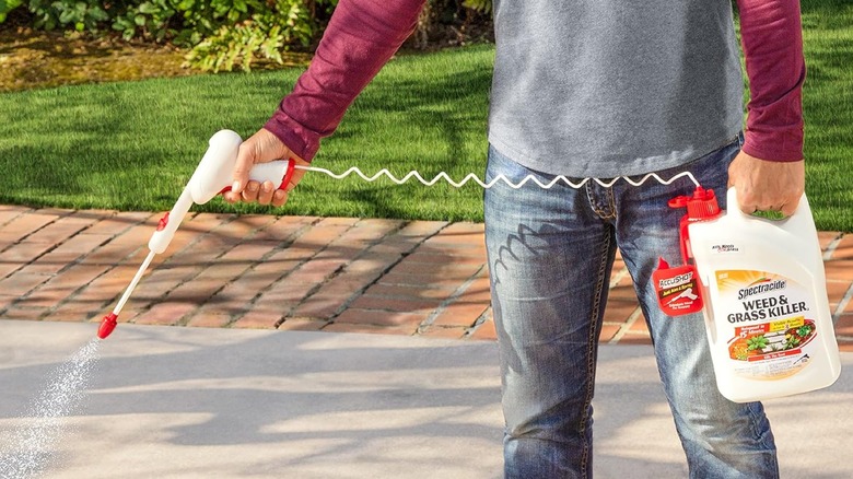 5 weed killer products to steer clear of (and 6 better alternatives)