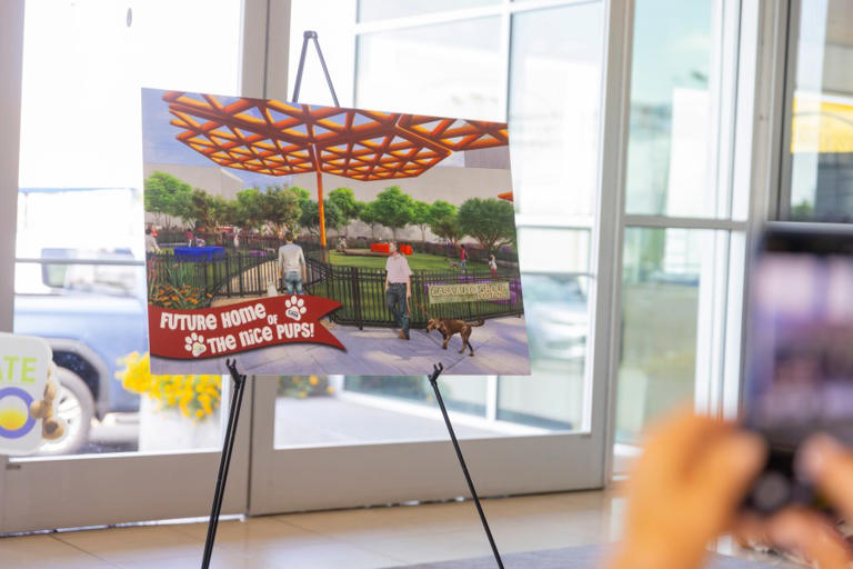 Casa Auto Group commits $1M toward future Deck Plaza
