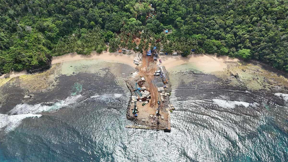 Group assails DENR over tree-cutting permits in Palawan
