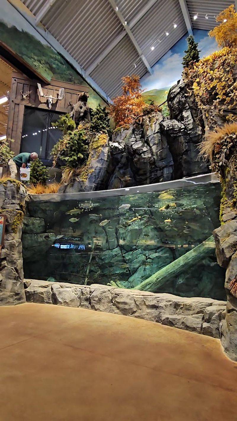 This New Jersey outdoor store has a 13,000-gallon freshwater fish tank ...