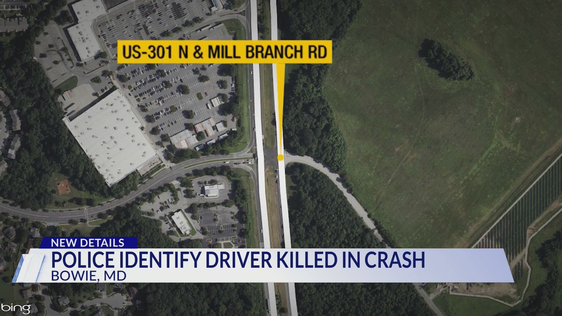 23-year-old man dies after car crashes into tree in Bowie