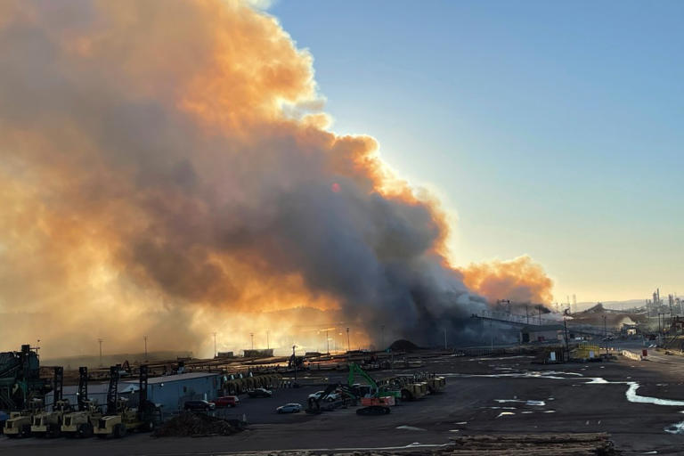 Washington paper mill disaster: 11 feared dead