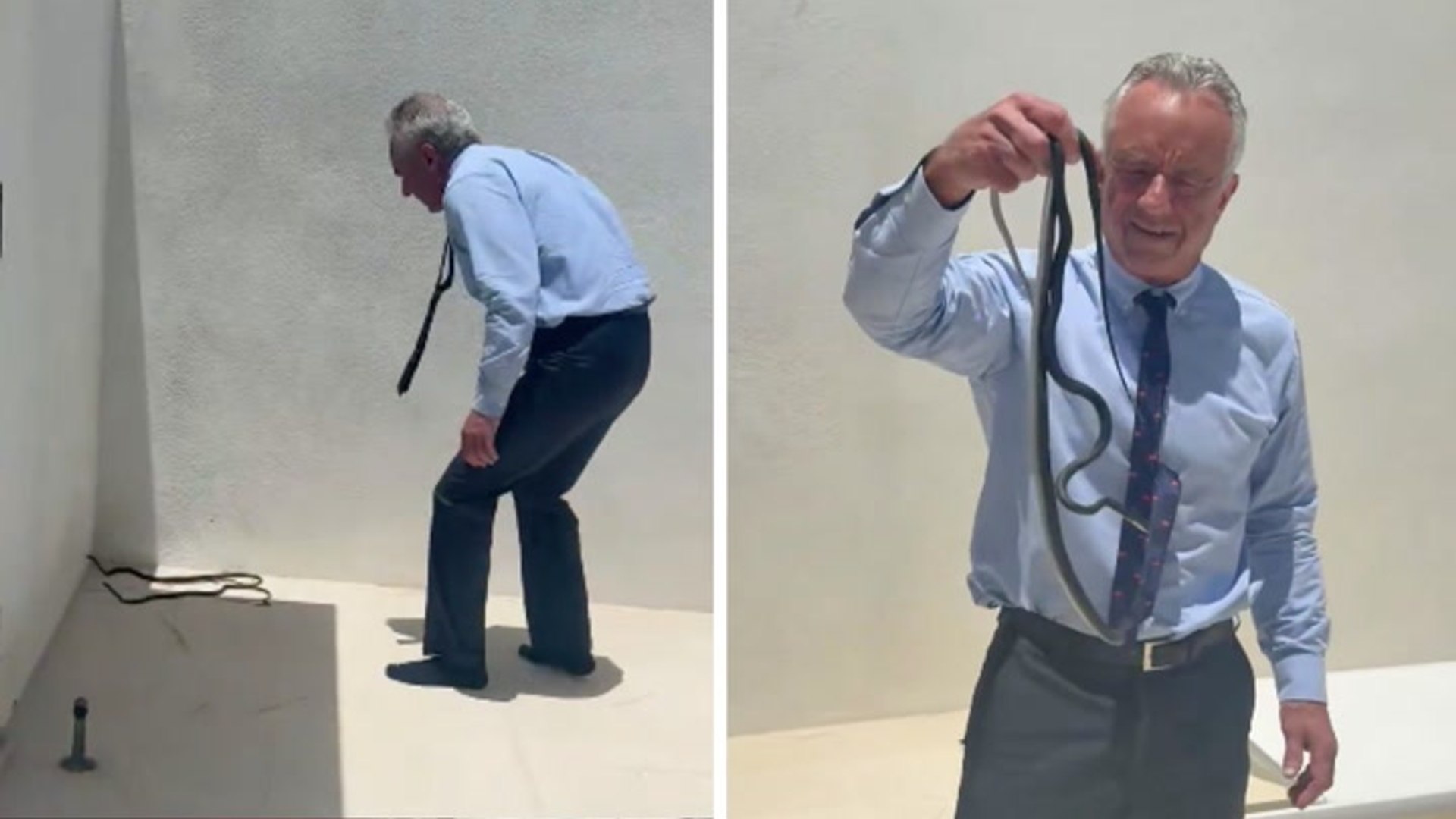 RFK Jr is bitten by snakes after grabbing them on patio at Dr Oz’s ...