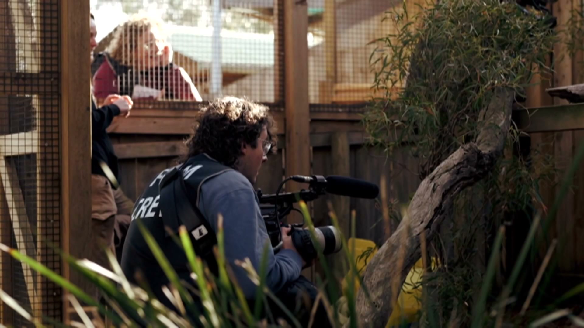 Series about Tasmania’s Bonorong Wildlife Sanctuary to be released on a ...
