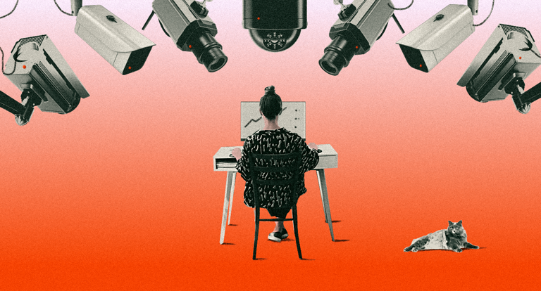 Work from home warning after private investigator reveals wild ...
