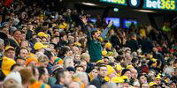 Springbok rugby’s rise has rewritten South Africa’s supporter landscape