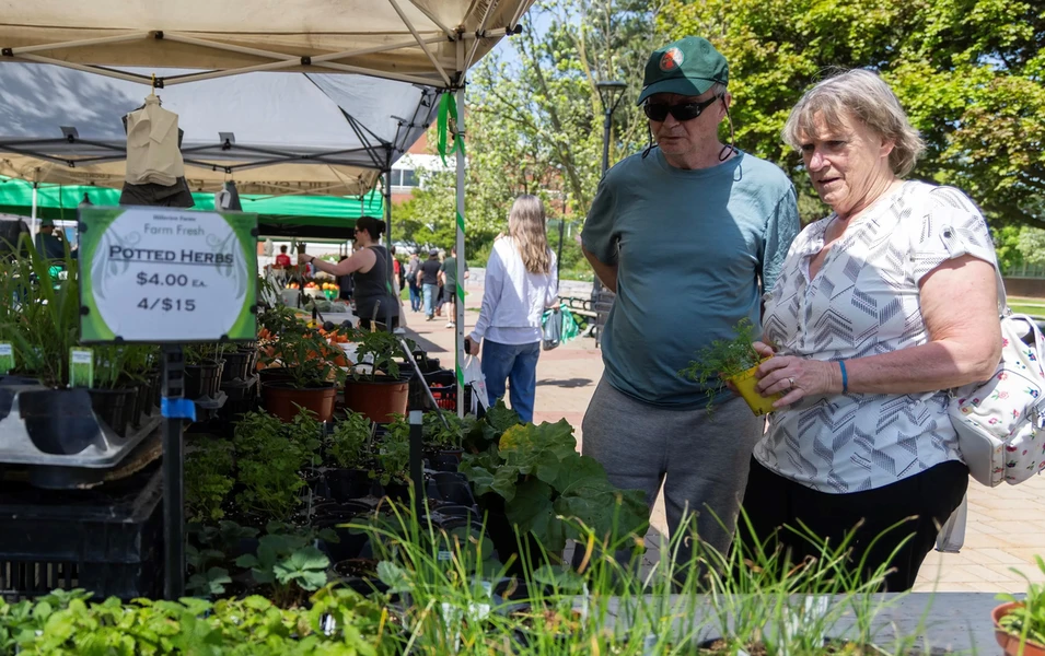 One in four Canadians face food insecurity amid lasting price shocks