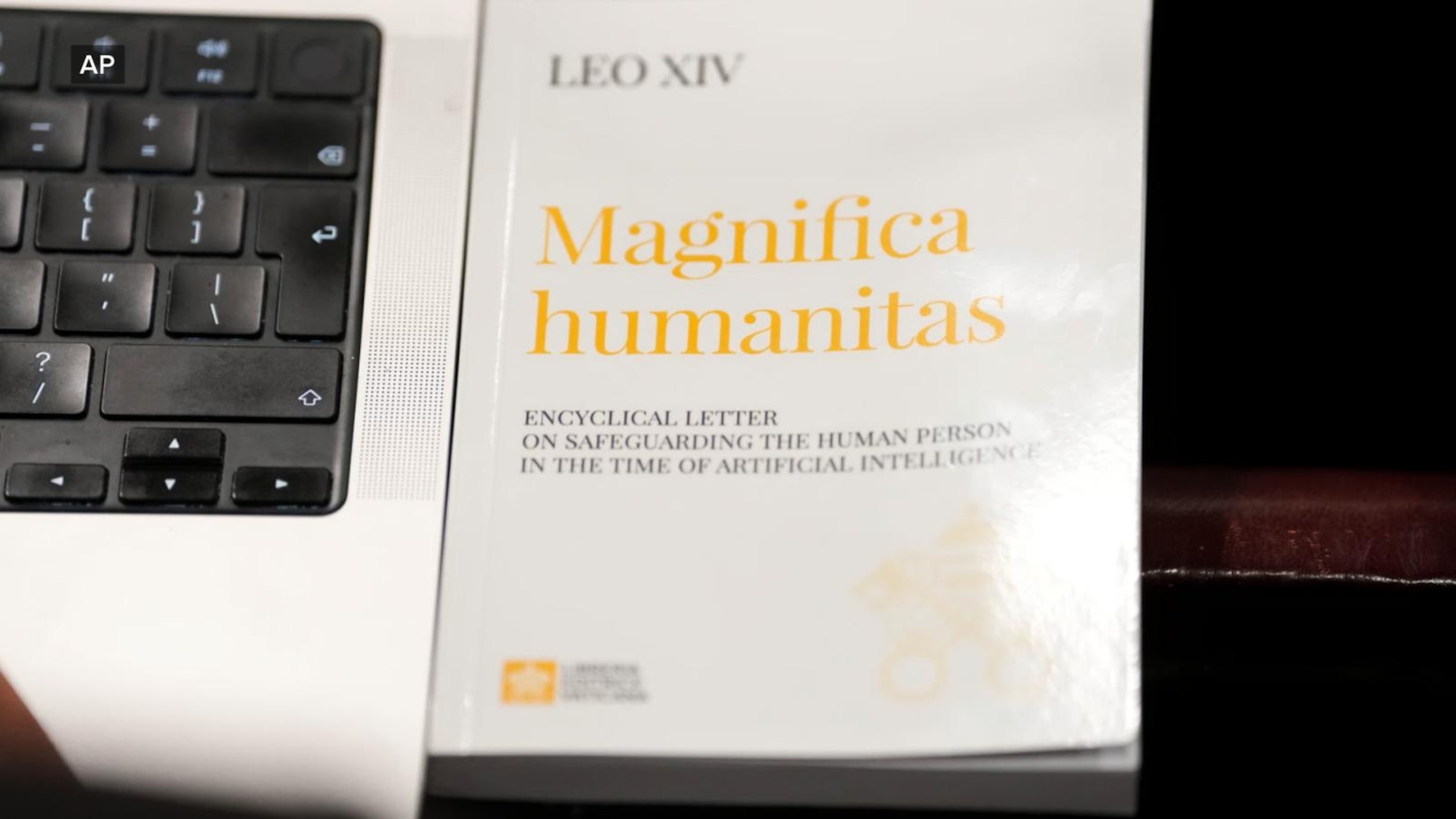 Pope's encyclical raises alarm over AI risks and societal threats