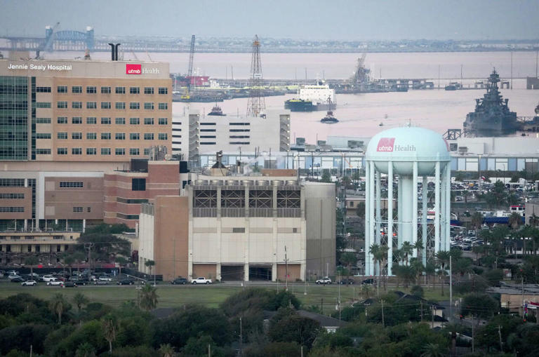 Galveston shark attack prompts rescue operation from Coast Guard