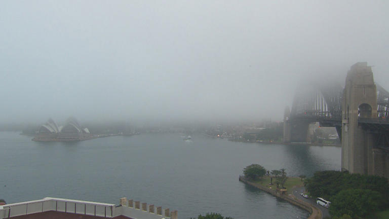 Warning of flight delays at Sydney airport as thick fog covers city