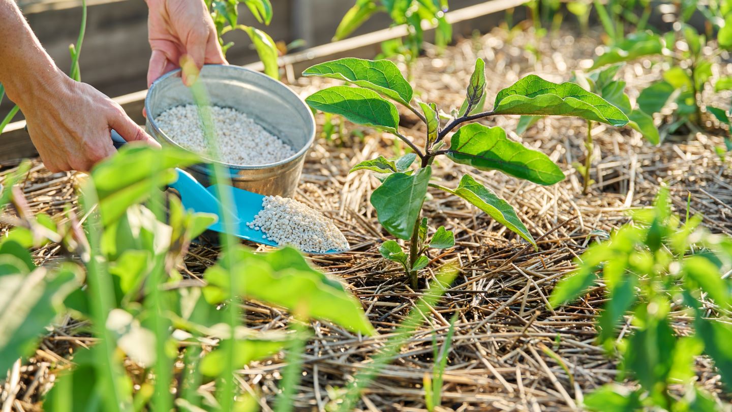 EU suspends imports duties on fertiliser