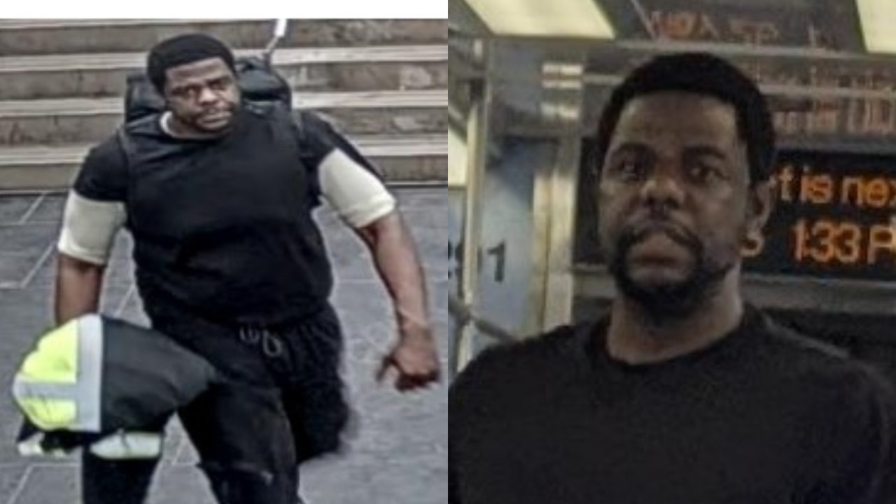 Chicago police seek man accused of punching 2 CTA riders on North Side ...