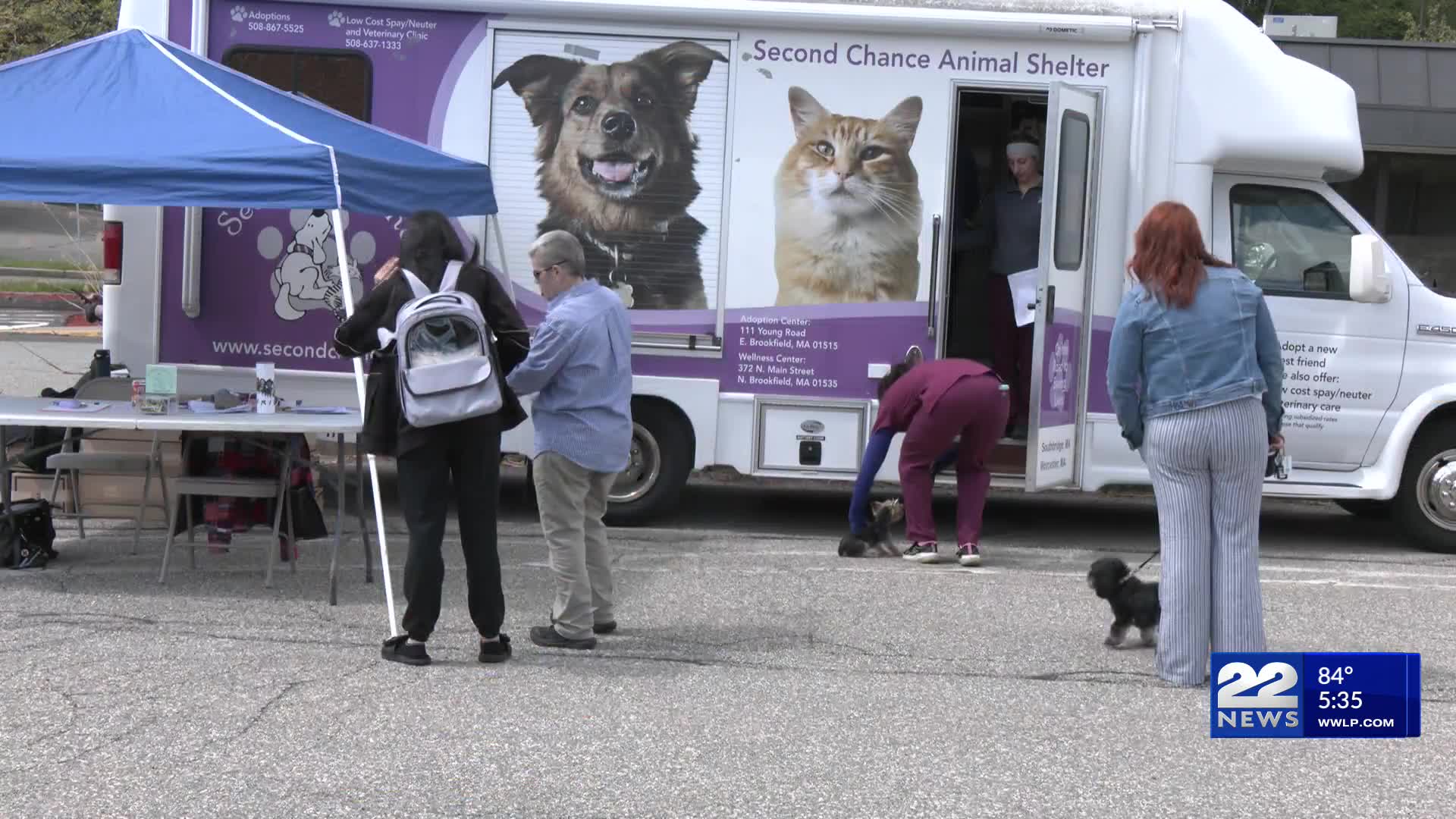 Second Chance launches summer foster program