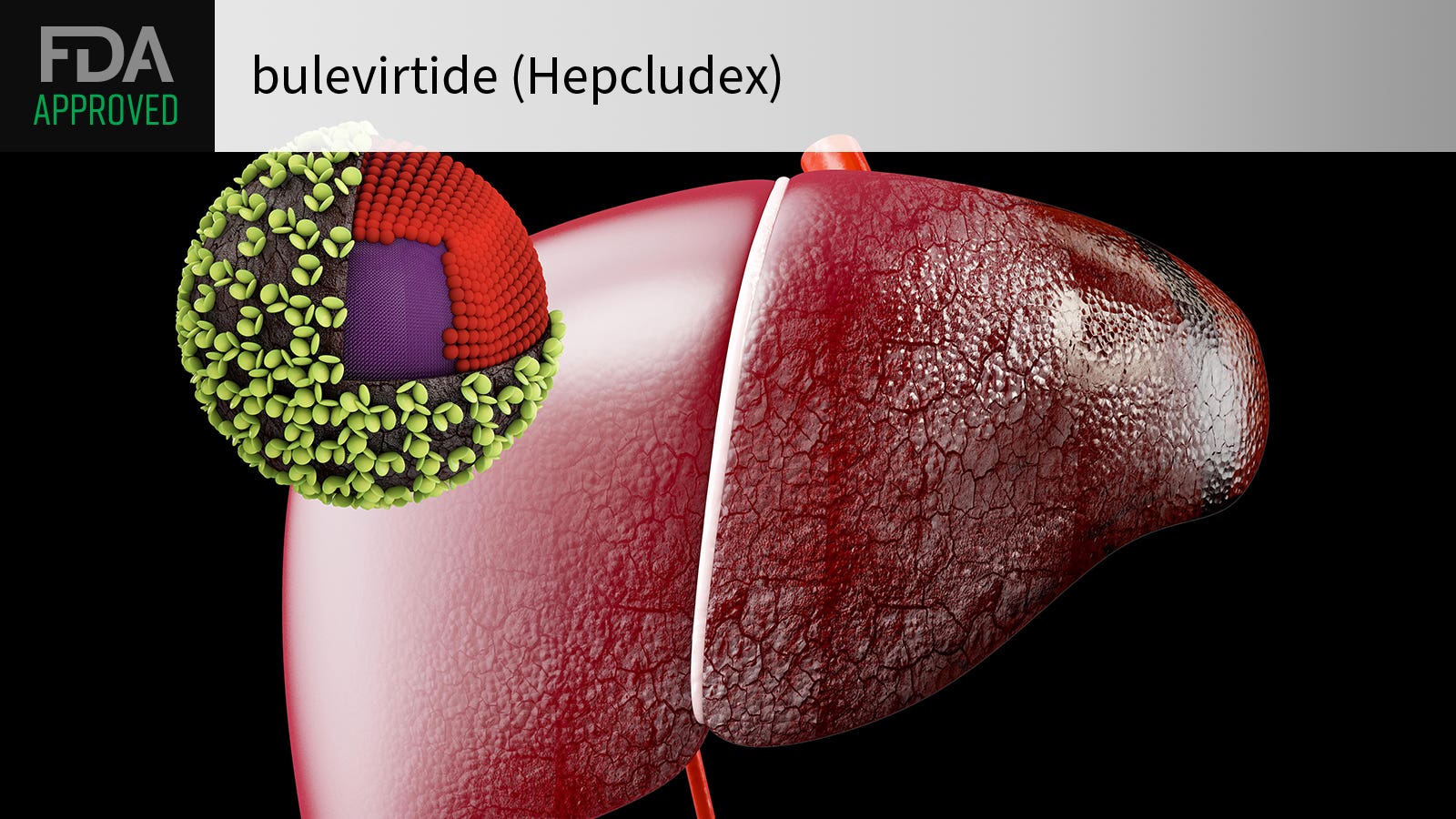FDA OKs first treatment for chronic hepatitis D infection